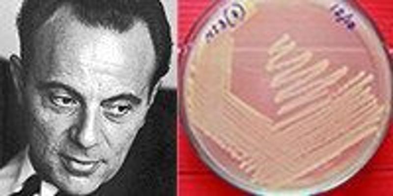 Nobel Prize Winner François Jacob Dies | The Scientist