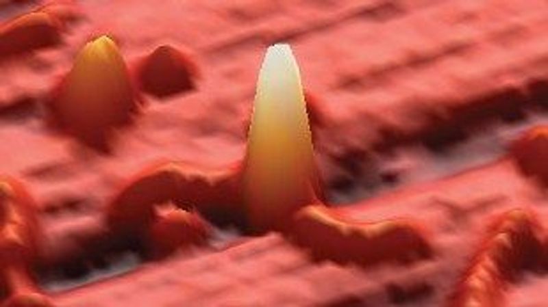 Atomic Force Microscopy | The Scientist