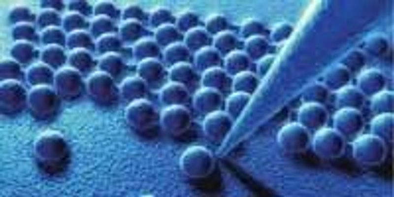 Structure by Feel | The Scientist