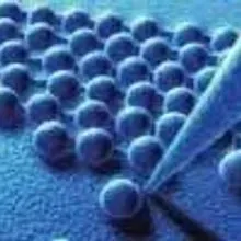 Atomic Force Microscopy | The Scientist
