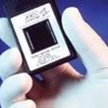 Beth Marie Mole Author Profile | The Scientist