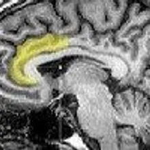 Criminology | The Scientist