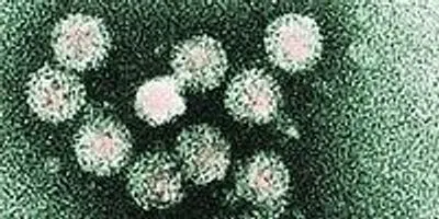 Canadian Scientist Declines Award The Scientist