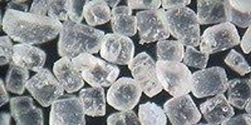 Salt at Fault? | The Scientist