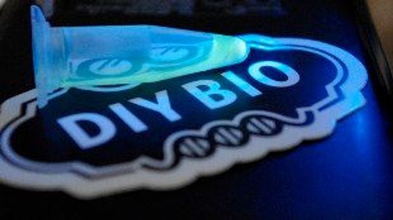 Inside Hacklabs | The Scientist