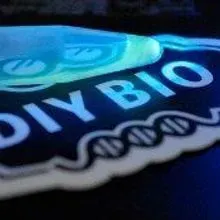 Inside Hacklabs | The Scientist