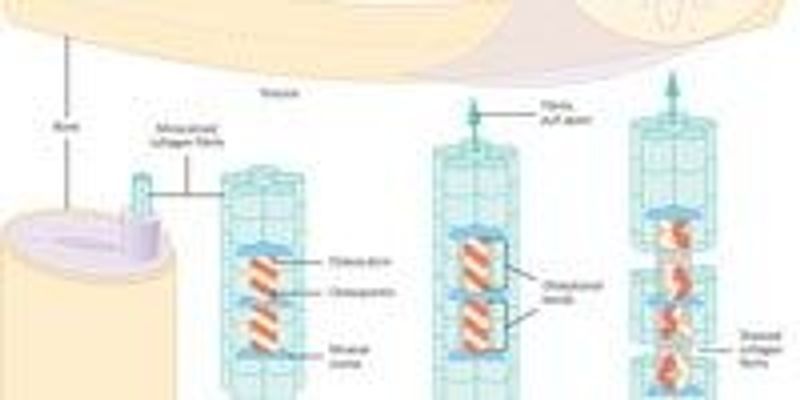 Crack Control | The Scientist