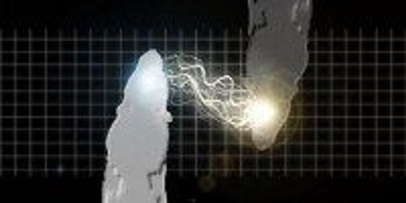 A Brain-to-Brain Interface for Rats | The Scientist