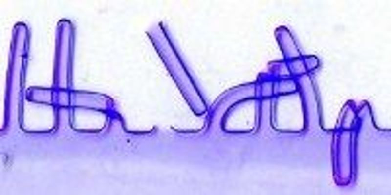 How Theatrical Gels Work