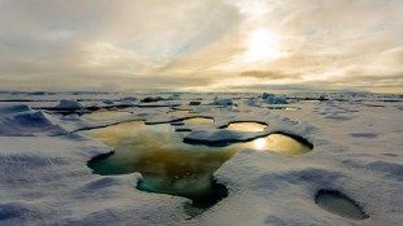 Sampling the New Arctic | The Scientist