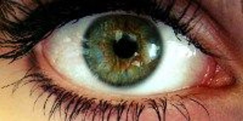 Robo-Eye to Enter US Market | The Scientist