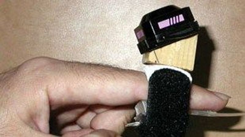 Testing for Whisker Sense | The Scientist