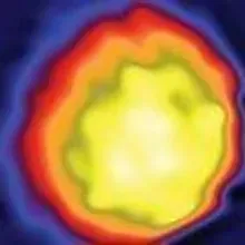 Lab Tools | The Scientist