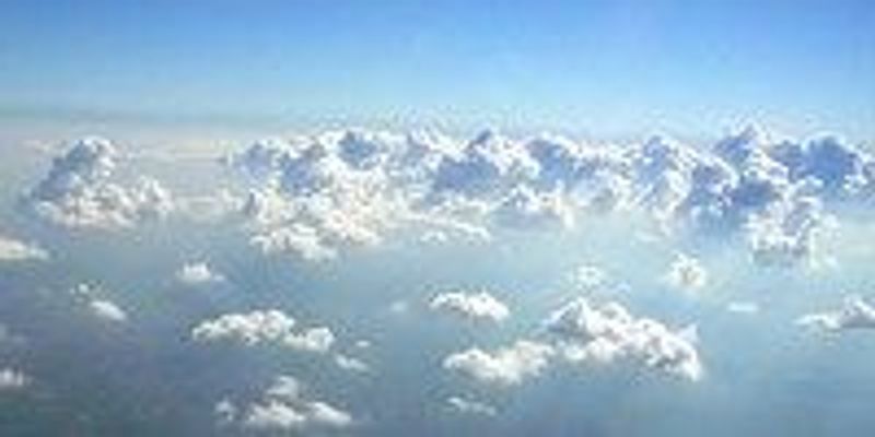 Bacteria Are Blowing in the Wind | The Scientist