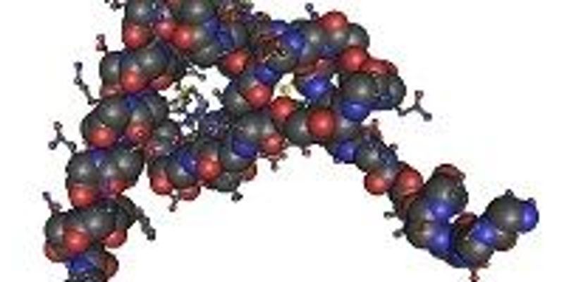 Human Proteome Project Update | The Scientist