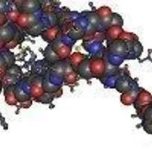 Human Proteome Project | The Scientist