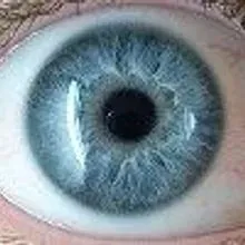 DNA Reveals Ancient Looks | The Scientist