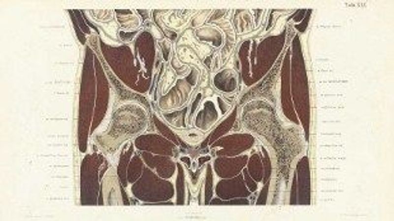 Biology by the Slice | The Scientist