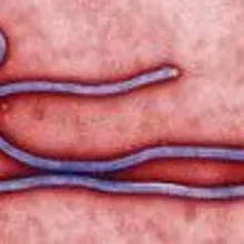 Bioterrorism | The Scientist