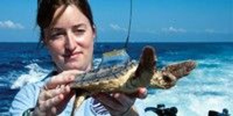 Dolled-Up Turtles | The Scientist