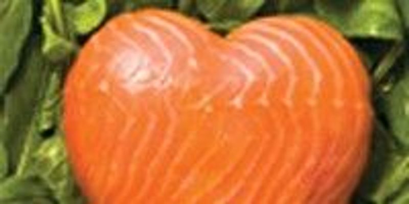 Omega-3s: Fishing for a Mechanism | The Scientist