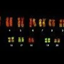 Preventing Genetic Identity Theft | The Scientist