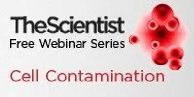 Pitfalls Associated with Cell Contamination, Misidentification and ...