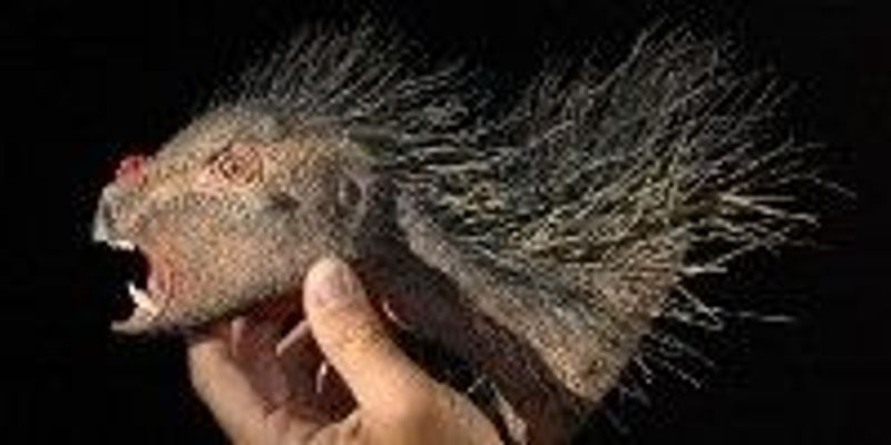 Vegetarian Vampires? | The Scientist