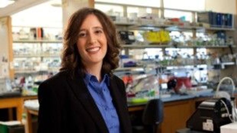 Life Scientists Get Genius Grants | The Scientist