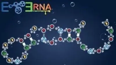 Toying with RNA | The Scientist
