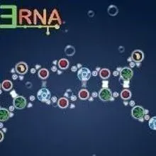 Toying with RNA | The Scientist