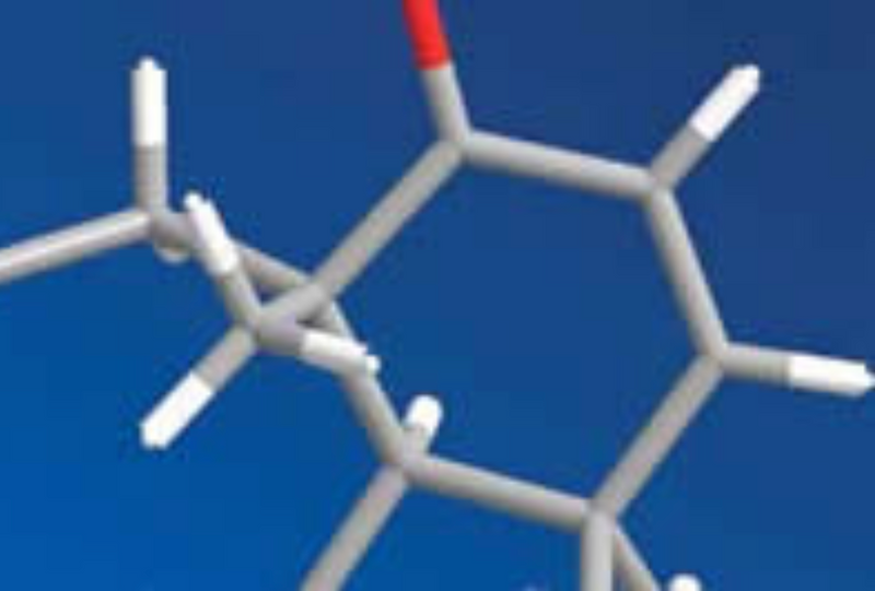 Bacteria killers | The Scientist