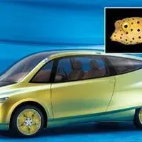 Science News, Educational Articles, Expert Opinion | The Scientist
