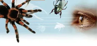 In Search of Bugs | The Scientist