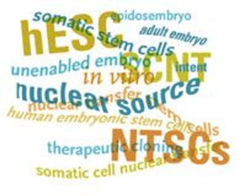 Stem Cell Semantics | The Scientist