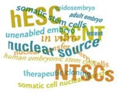 Stem Cell Semantics | The Scientist