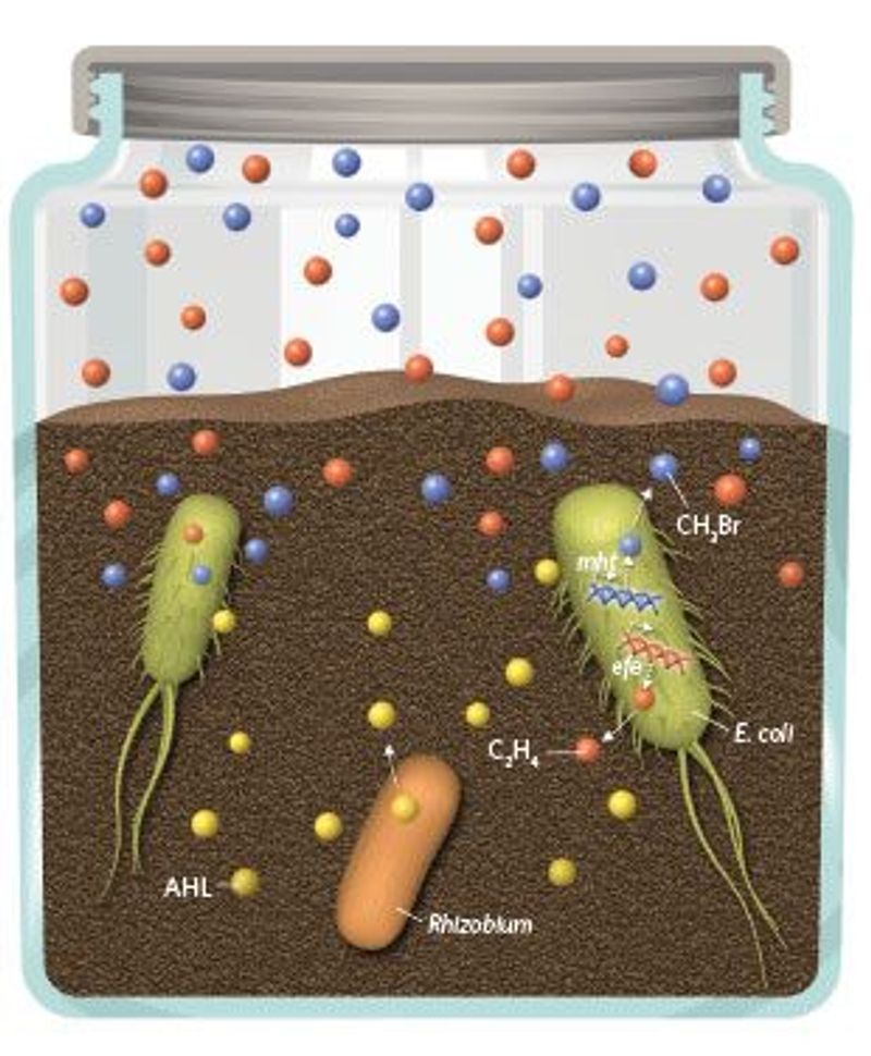 Gene Expression Analysis Gets Gassy | The Scientist