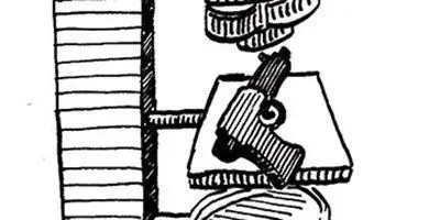 Bullets and Ballots | The Scientist