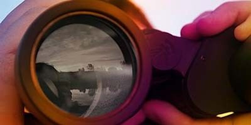 Colorblindness Study Reveals Unexpected Way to Make Blood Vessels | The ...