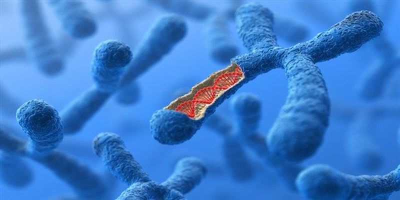 New Database Expands Number of Estimated Human Protein-Coding Genes ...