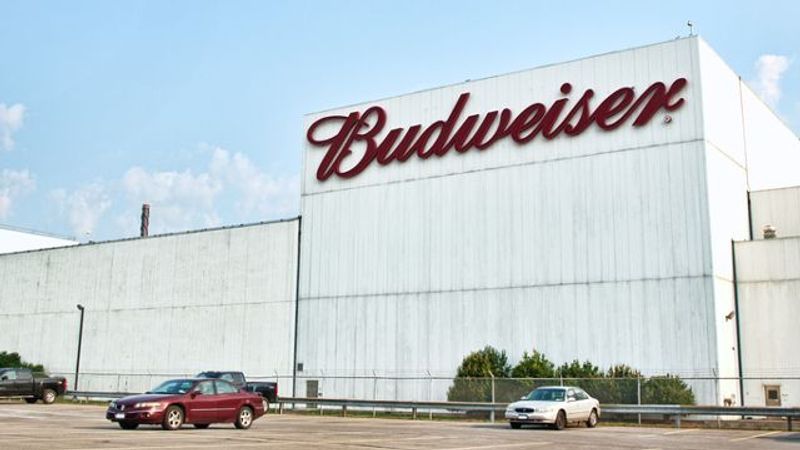 Anheuser-Busch Won’t Fund Controversial NIH Alcohol Study | The Scientist