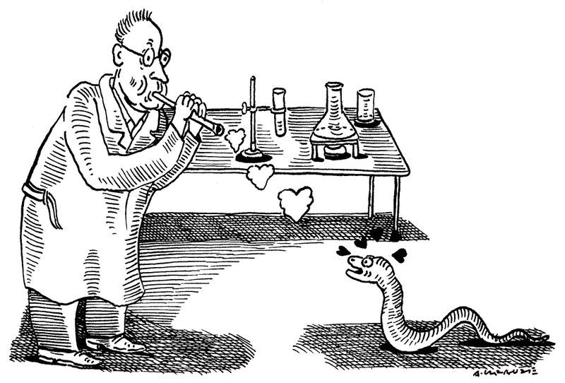 Researchers Look to Sex Pheromones to Trap an Invasive Snake | The ...