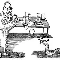 Snake | The Scientist