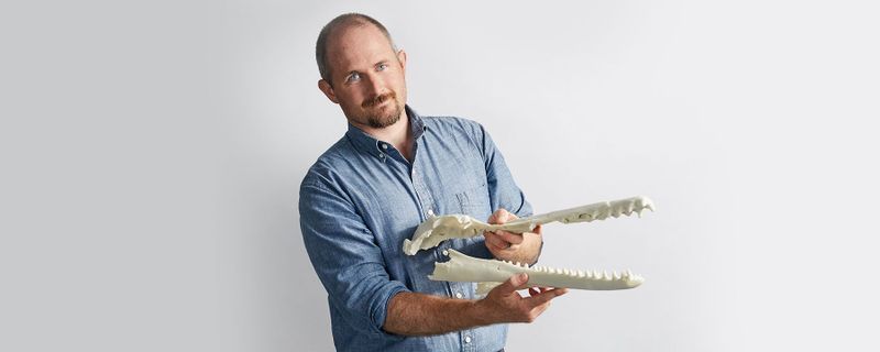 Nick Pyenson Reconstructs Bygone Whale Populations Using Fossils | The ...