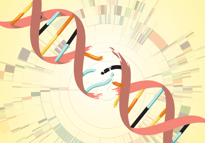 How to Calculate Mutation Rate for Evolutionary Biology | The Scientist