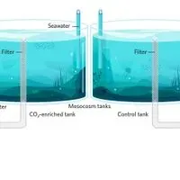 Ocean Acidification | The Scientist