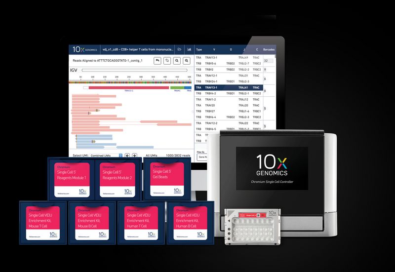 10x Genomics Single Cell Mouse Immune Profiling Solution | The Scientist Magazine®