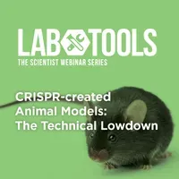 CRISPR-created Animal Models: The Technical Lowdown | The Scientist