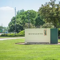 Jury Finds Monsanto’s Roundup Responsible for Man’s Cancer | The Scientist