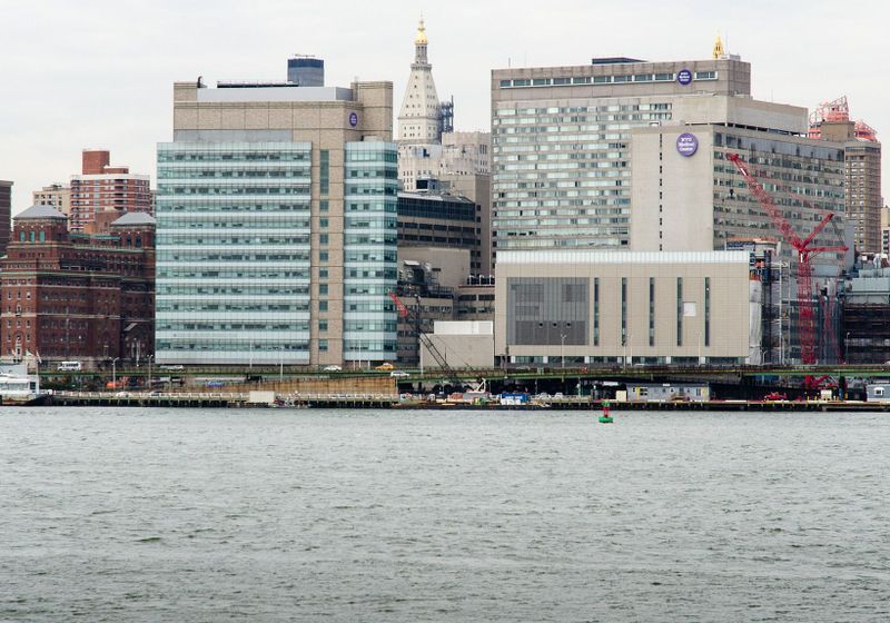 NYU Medical School Is Now Free Almost The Scientist Magazine nyu-medical-school-is-now-free-almost-the-scientist-magazine